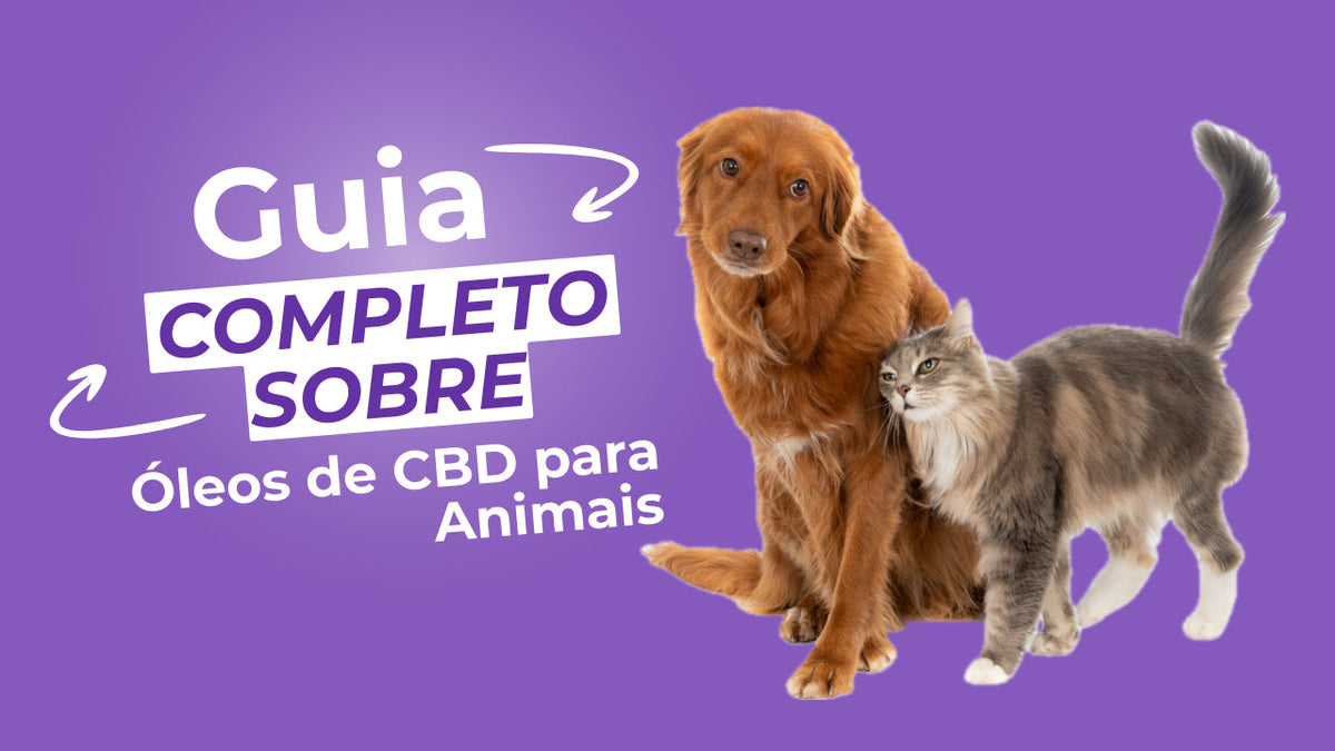 Guia completo de Óleos de CBD para Animais: Tudo o Que Precisas de Sab ...